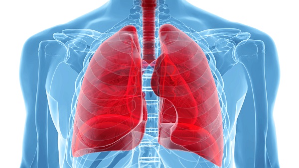 Elevkanalen - 2. Lungene